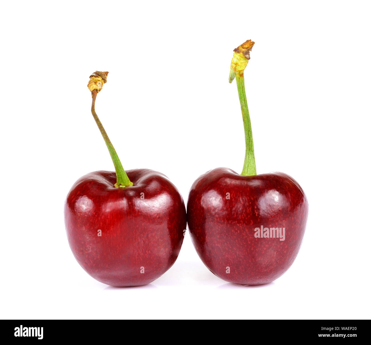 Cherry isolated on white Stock Photo - Alamy