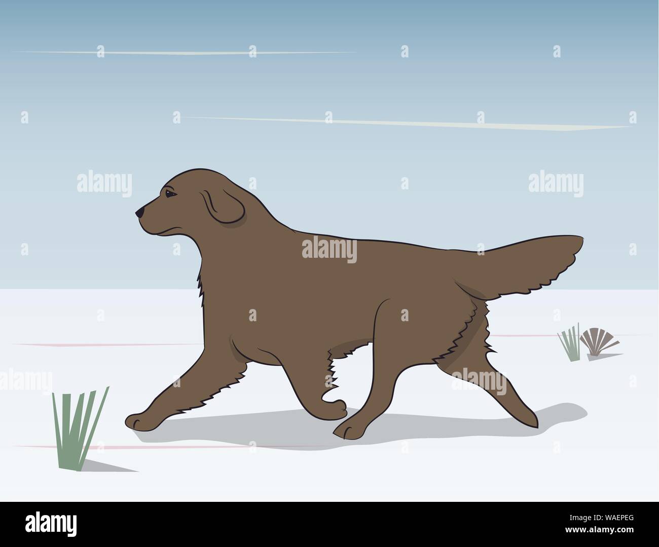 dog running forward, on the ground vector, outdoors Stock Vector Image ...