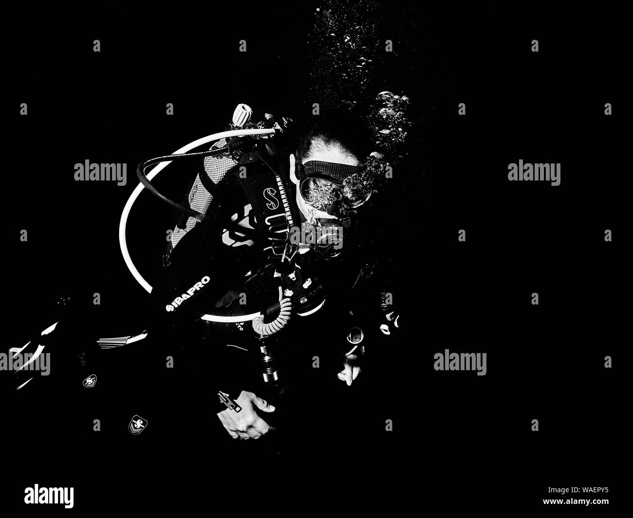 Diving show Black and White Stock Photos & Images - Alamy