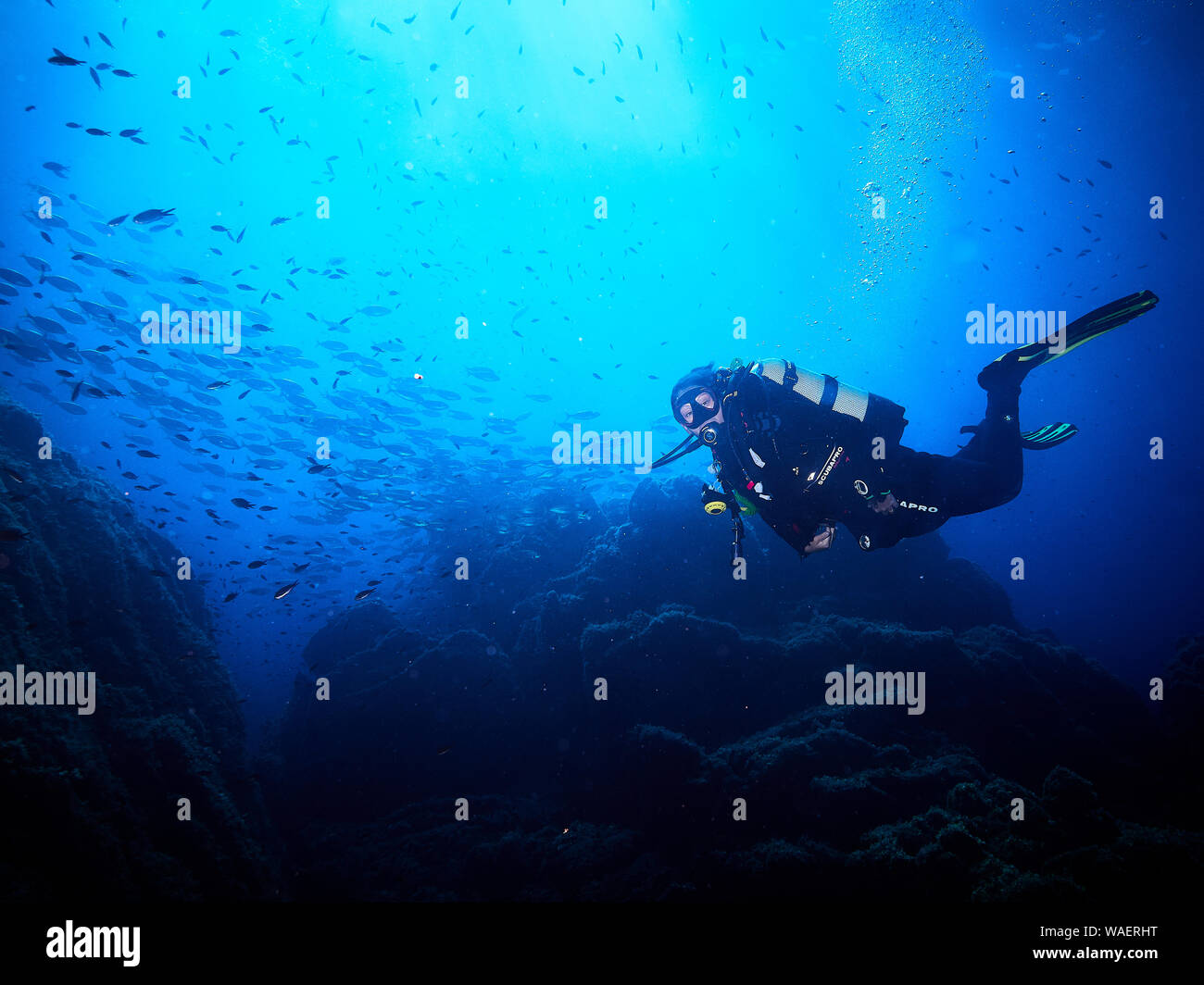 Swim towards the sun hi-res stock photography and images - Alamy