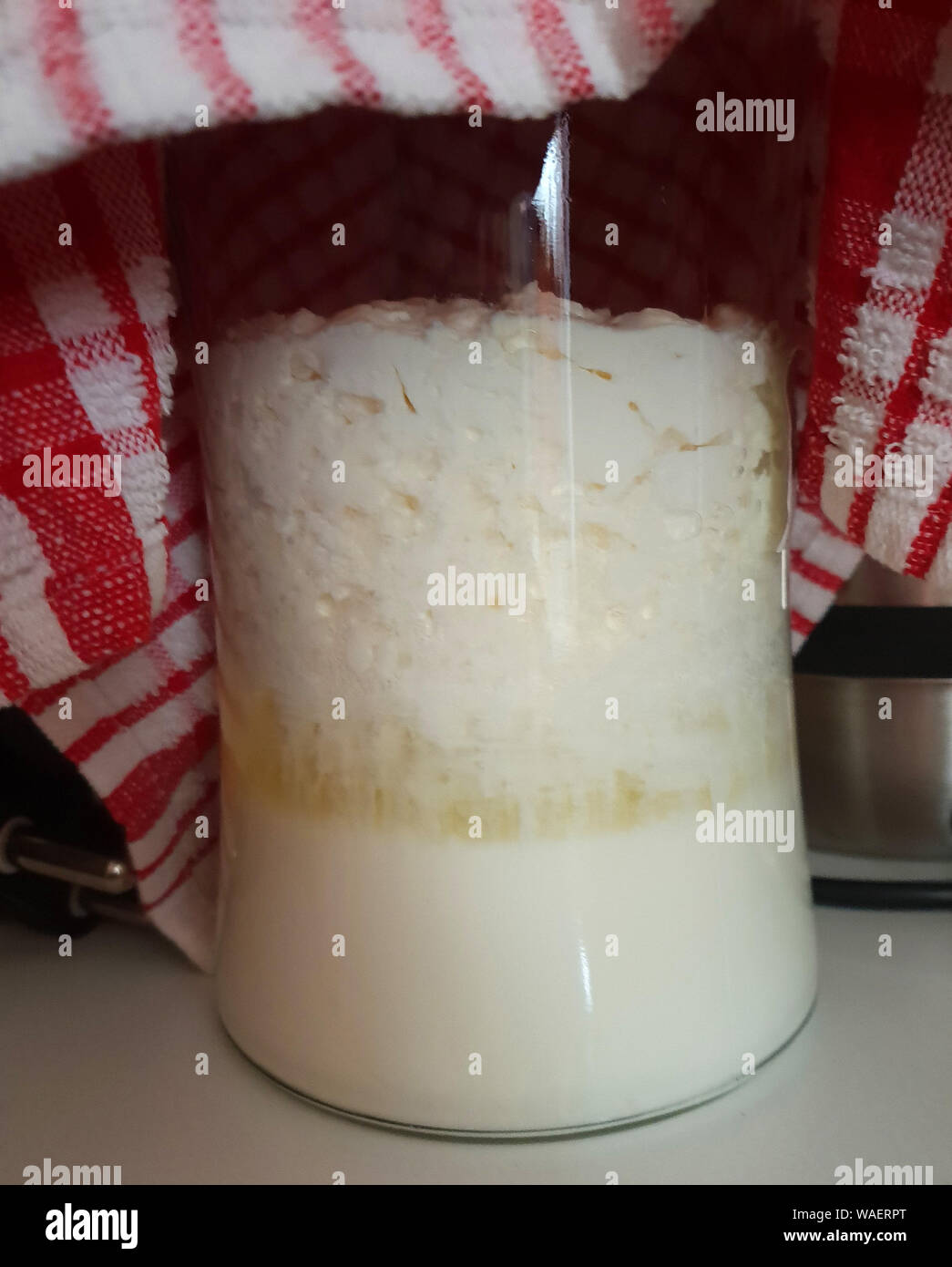 Fermenting Bacteria High Resolution Stock Photography and Images - Alamy