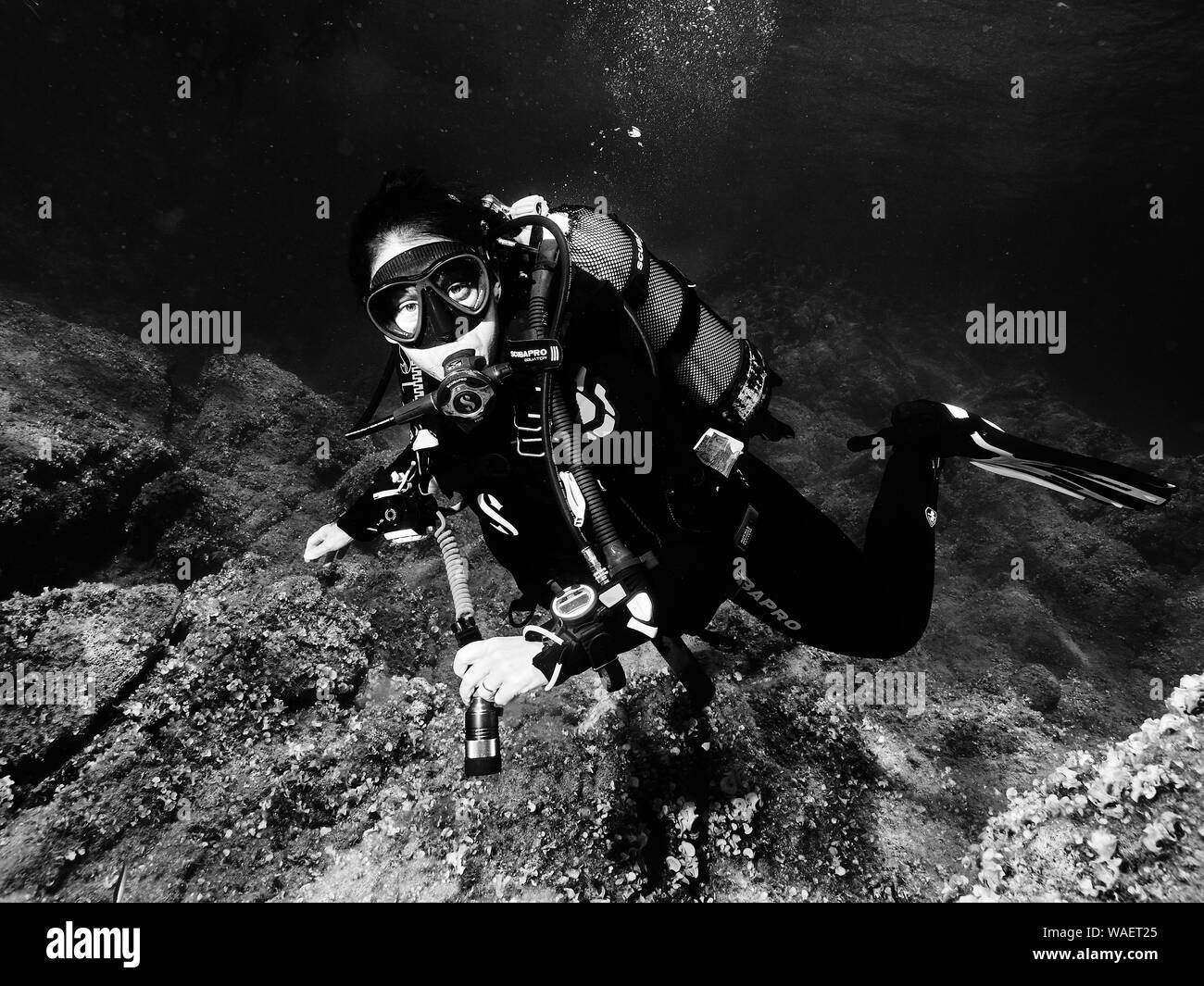 Black and white photo of a diver Stock Photo - Alamy