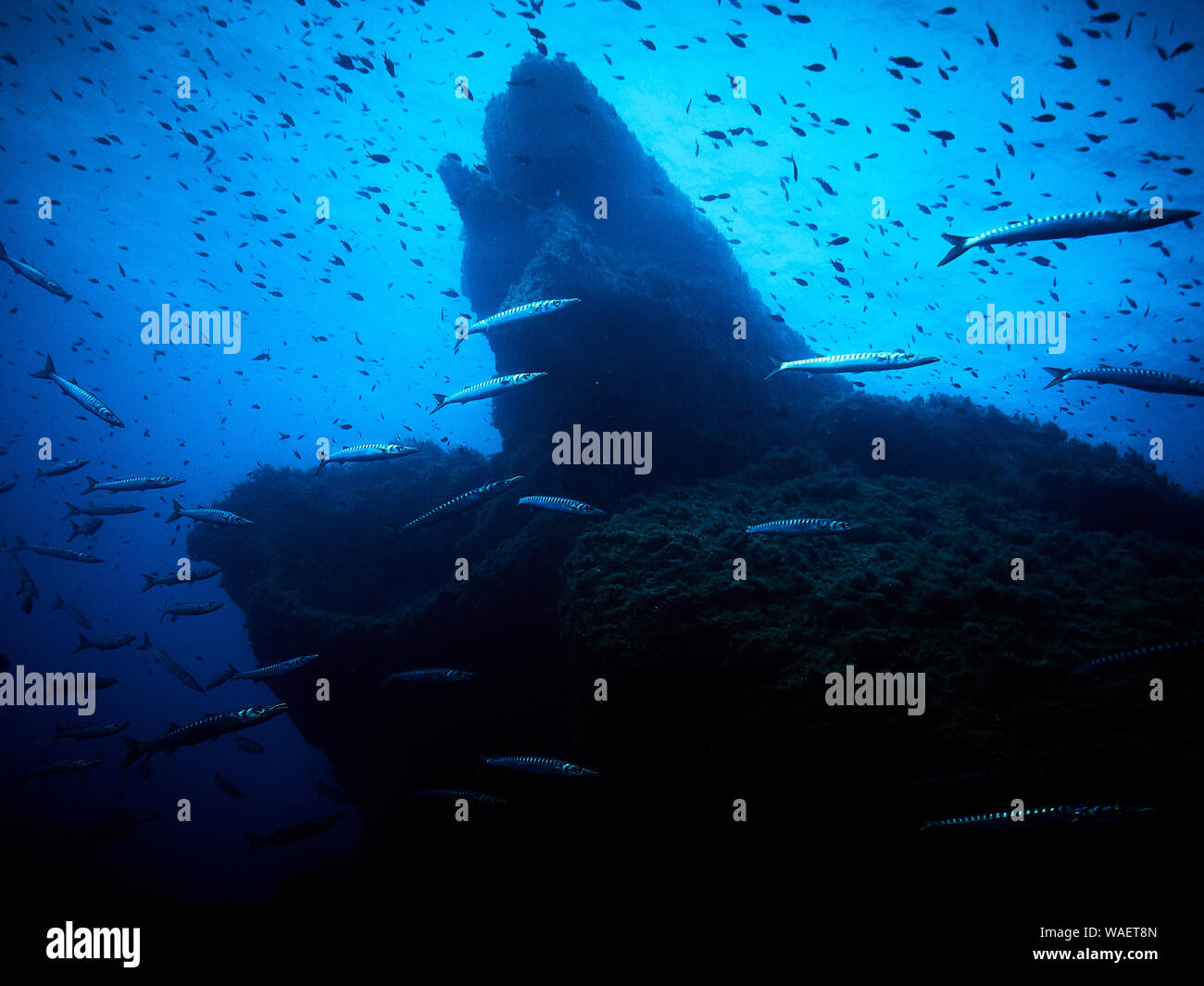 Underwater vortex hi-res stock photography and images - Alamy