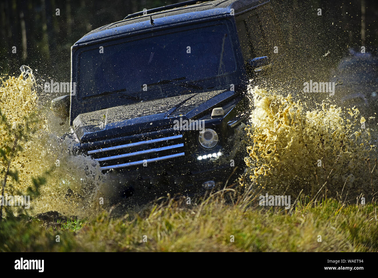 Extreme, challenge and 4x4 vehicle concept. Car racing in autumn forest ...