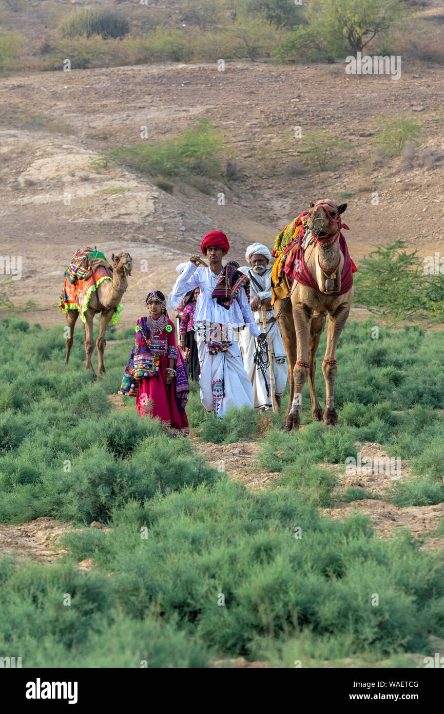Rabari tribe people walking in the desert with a dromedary, Great Rann ...