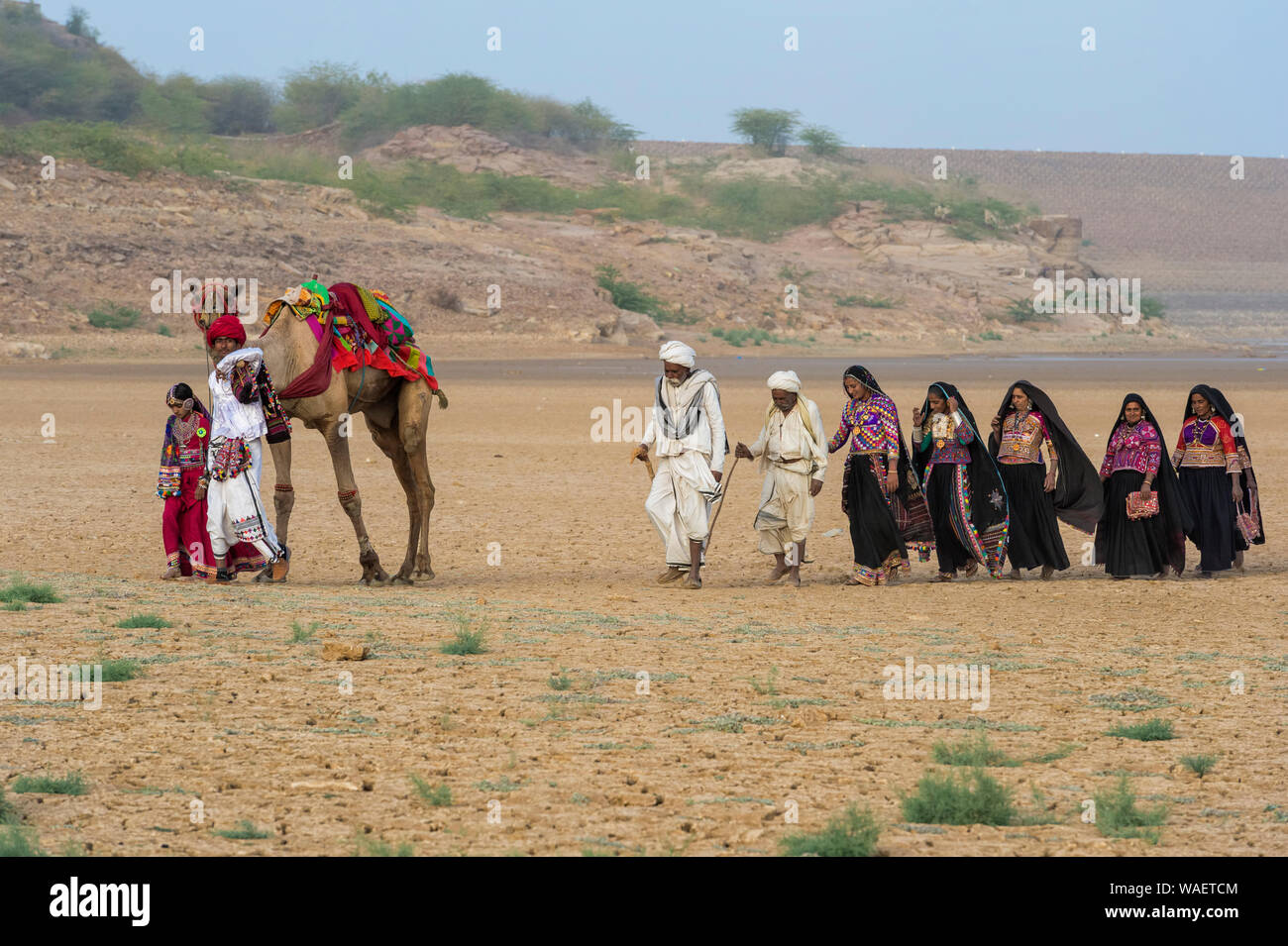 Rabari tribe people walking in the desert with a dromedary, Great Rann ...