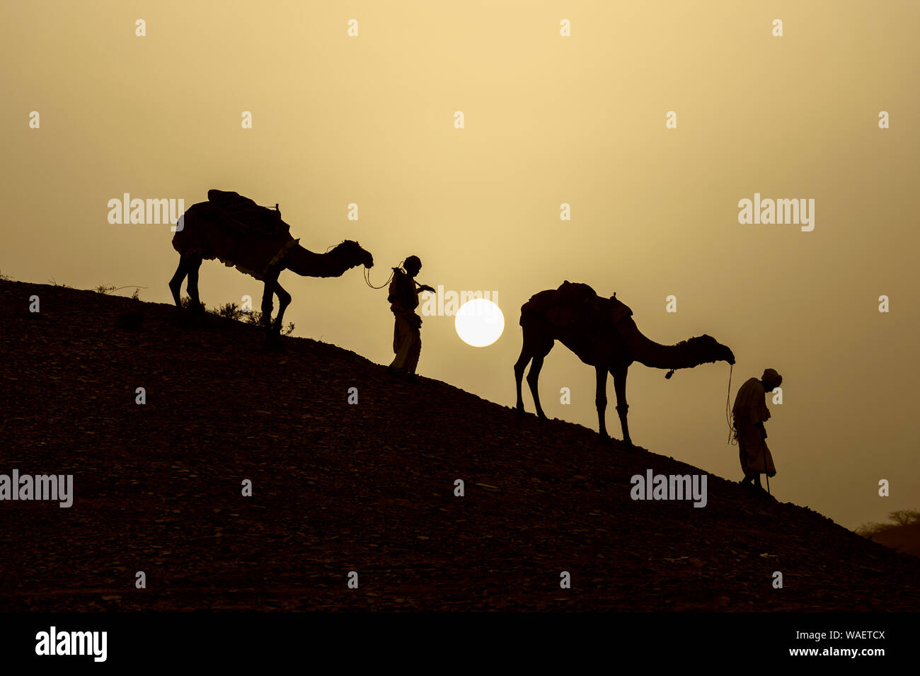 Two rabari men going down a dune at sunset hi-res stock photography and ...
