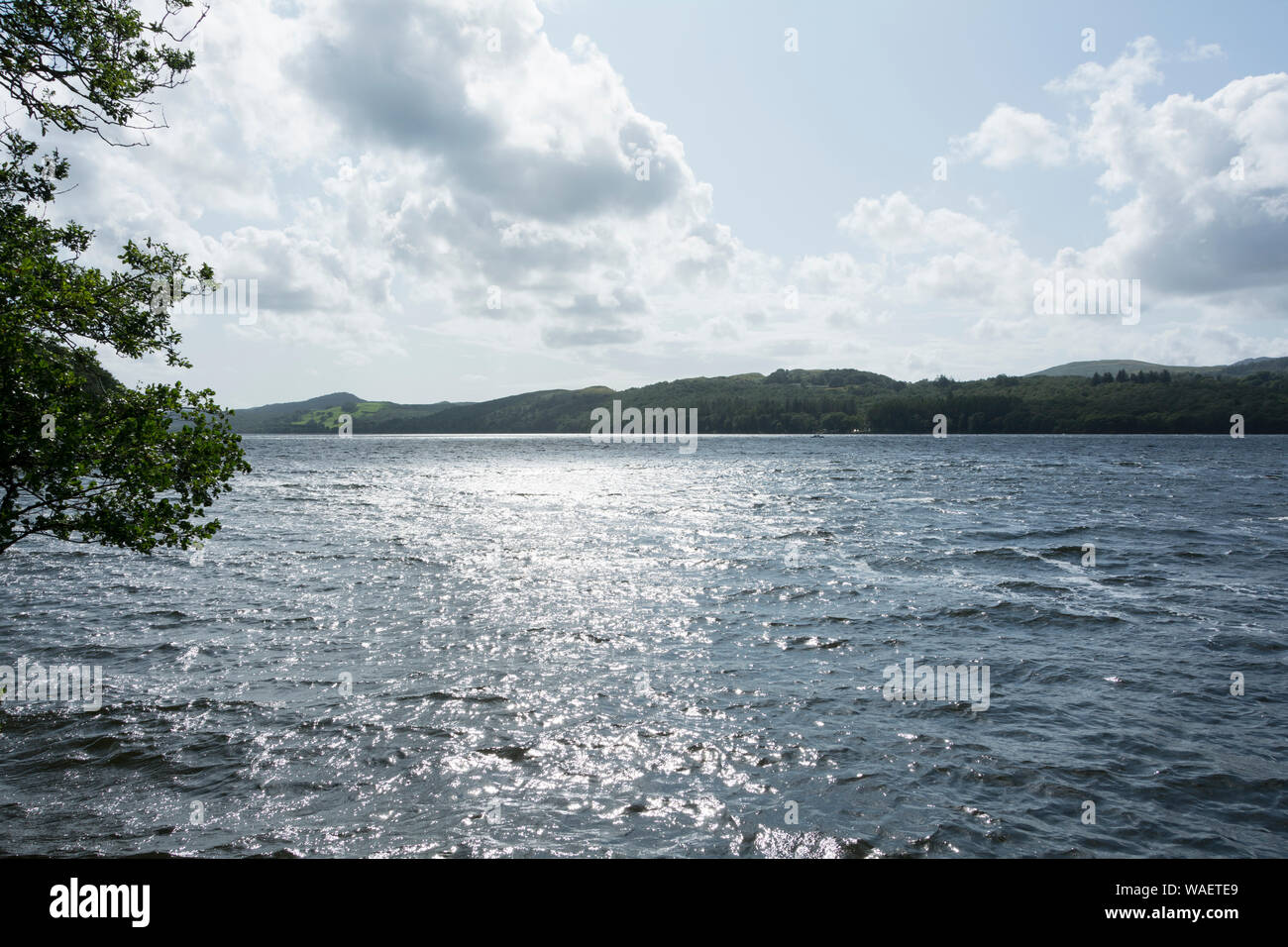 Sun dappled water hi-res stock photography and images - Alamy