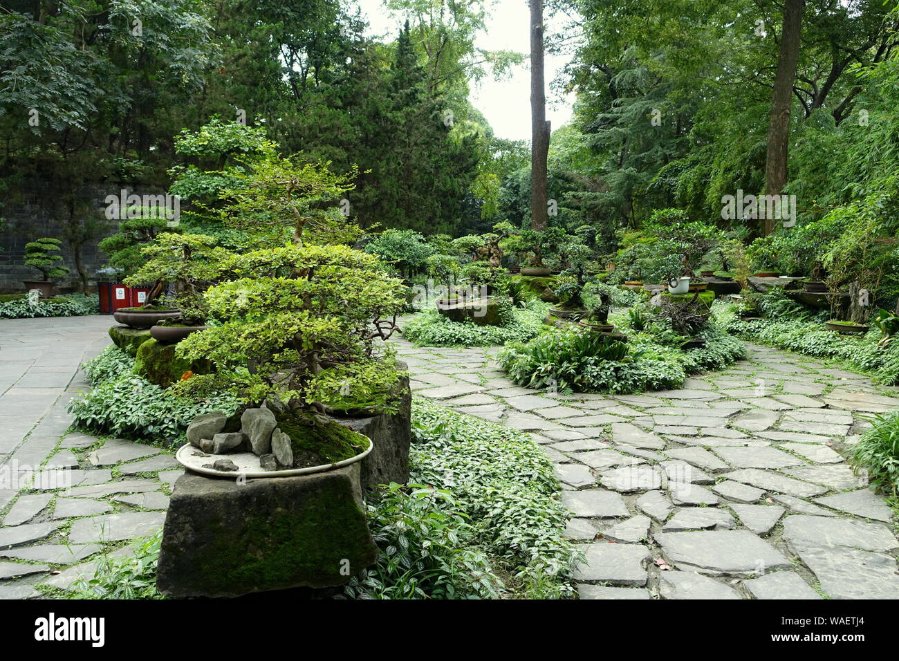 Chengdu landscape hi-res stock photography and images - Alamy