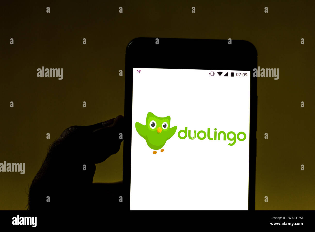 Duolingo logo hi-res stock photography and images - Alamy