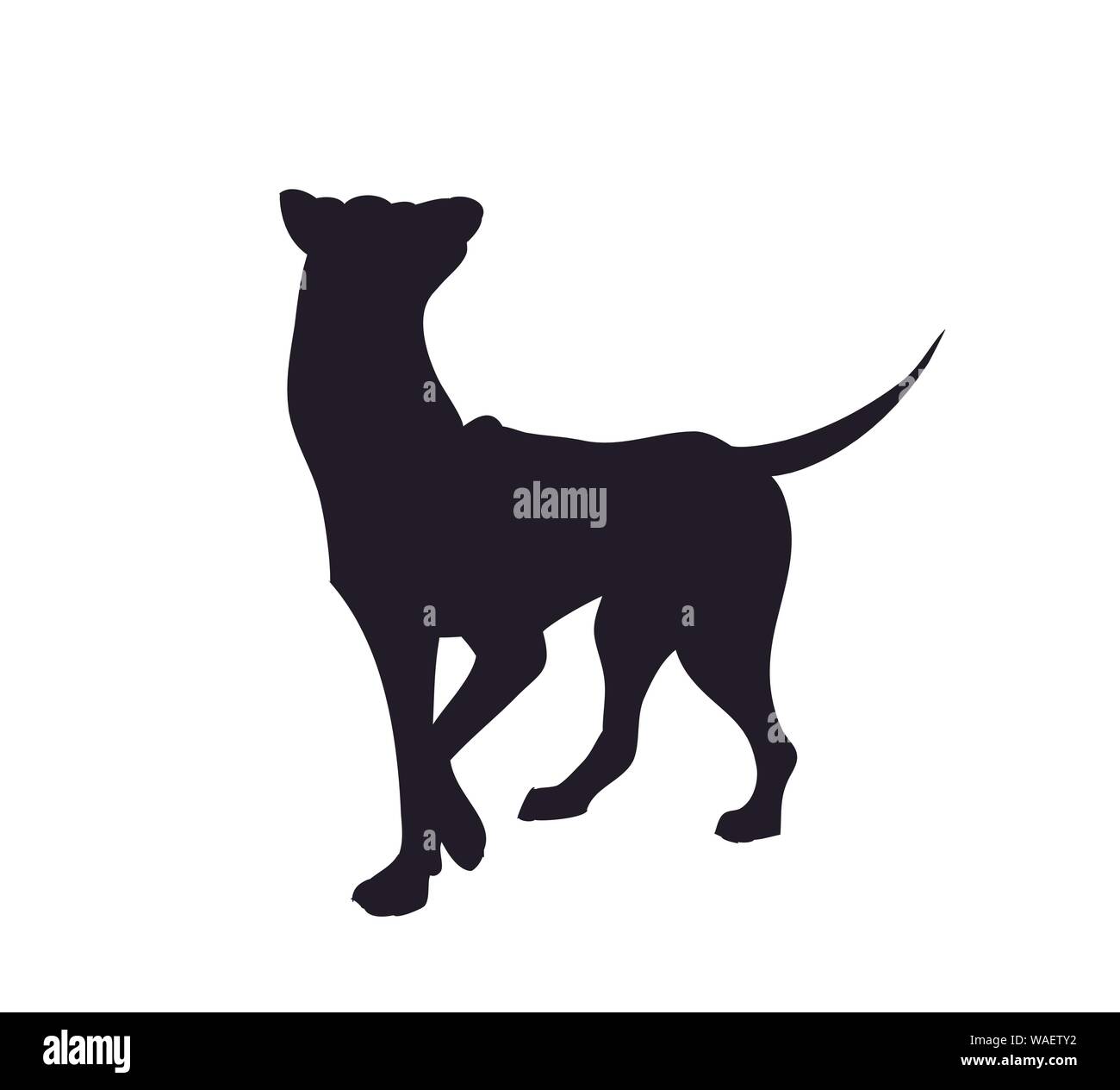 dog stands, silhouette, vector, white background, vector Stock Vector ...