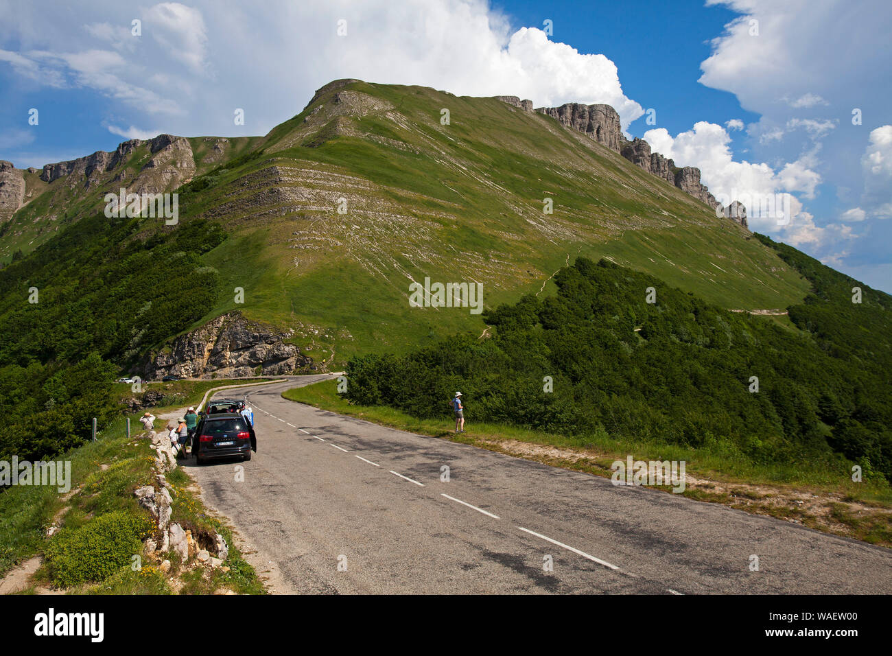 Travelling Naturalist group at the Col de la Bataille Vercors Regional ...