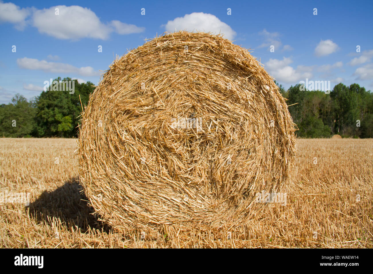 Strawbales High Resolution Stock Photography and Images - Alamy