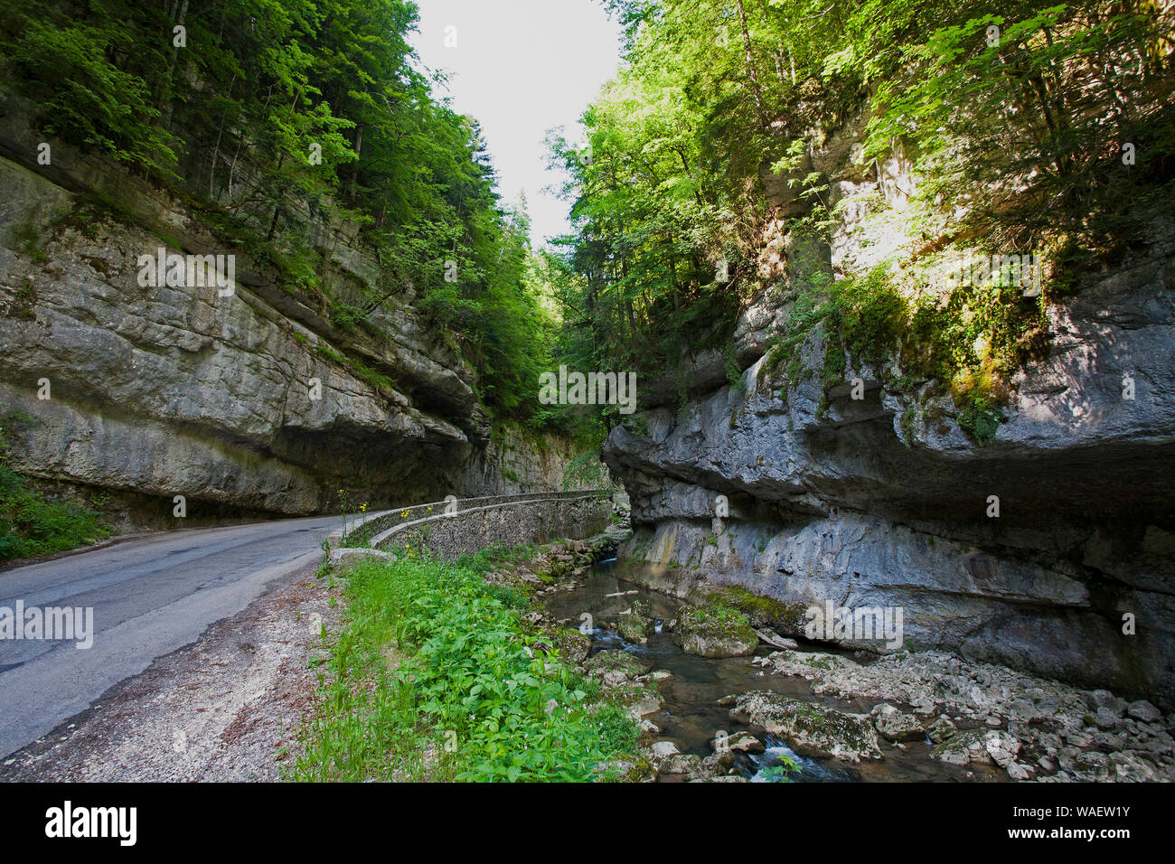 River Bourne Gorges da la Bourne Vercors Regional Natural Park France ...