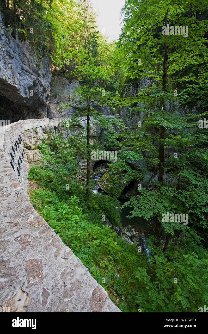 River Bourne Gorges da la Bourne Vercors Regional Natural Park France ...