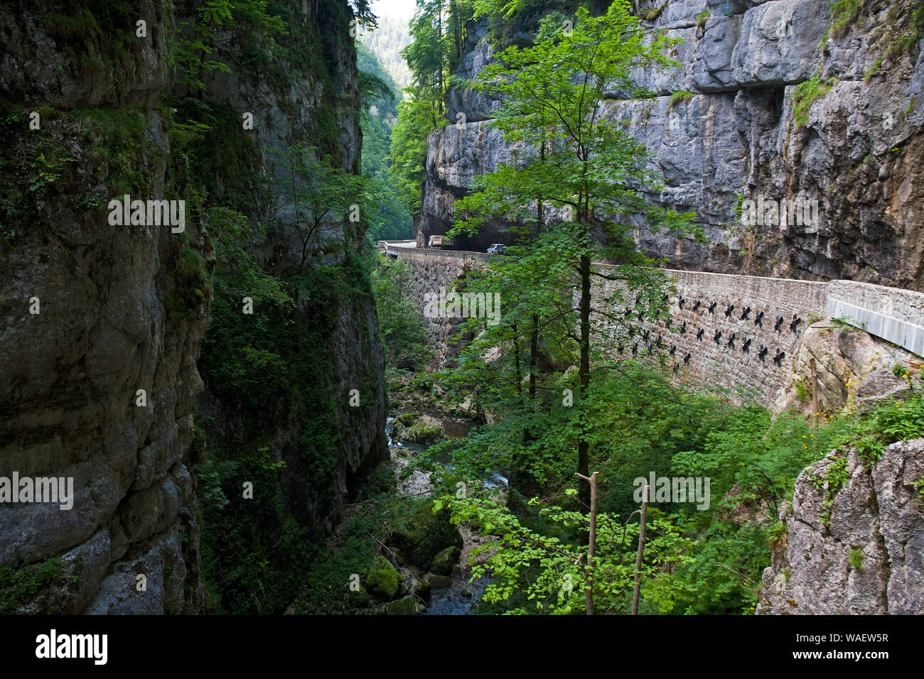 River Bourne Gorges da la Bourne Vercors Regional Natural Park France ...