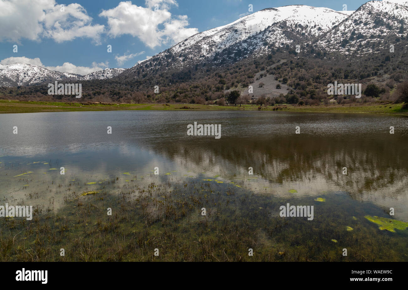 Omalos pond, a Mediterranean Temporary Pond on the Omalos plateau ...