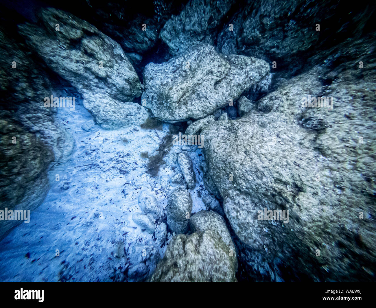 Paradise aqua deep sea diving hi-res stock photography and images - Alamy