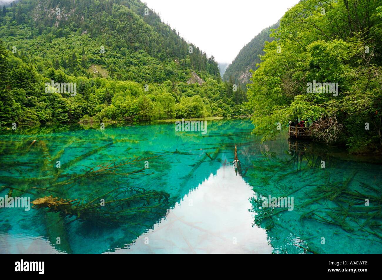 Szechwan Province High Resolution Stock Photography and Images - Alamy