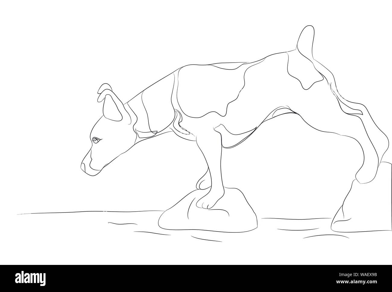 dog stands, lines, vector, white background, dog stands Stock Vector ...