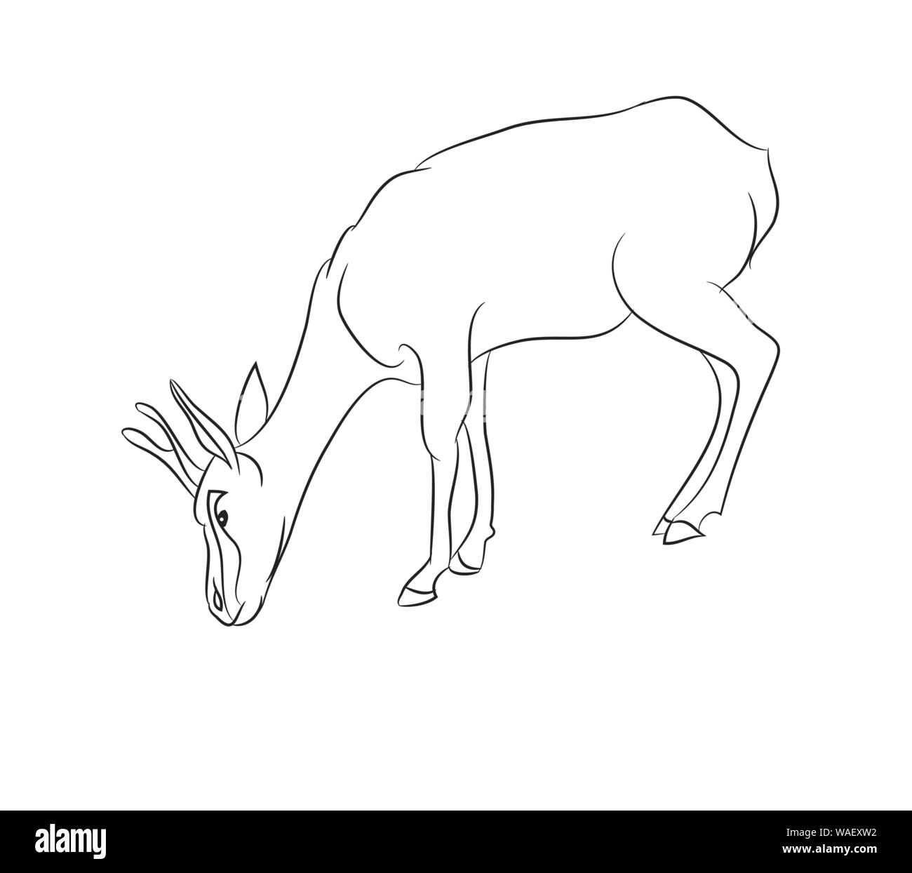 How To Draw A Gazelle