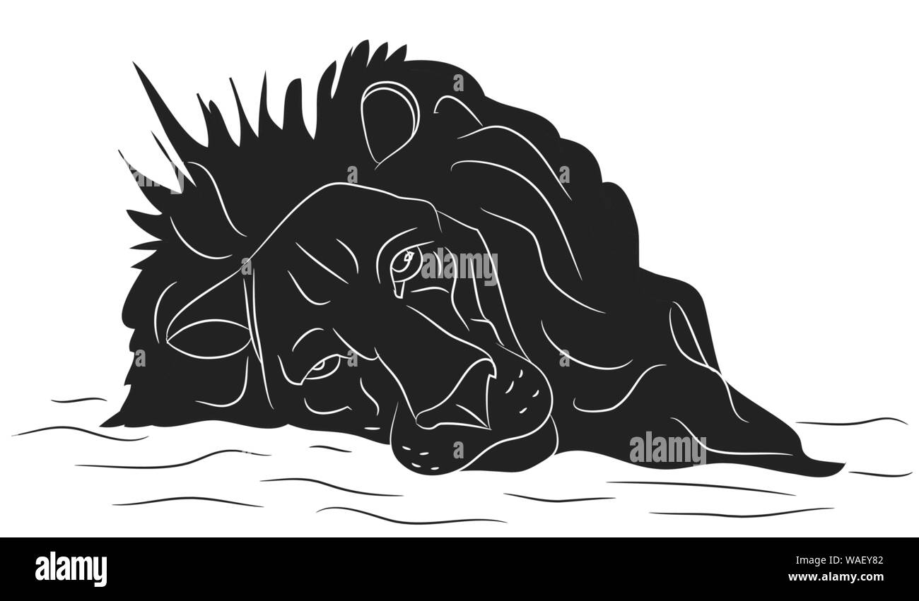 Black white lions drawing Stock Vector Images - Alamy