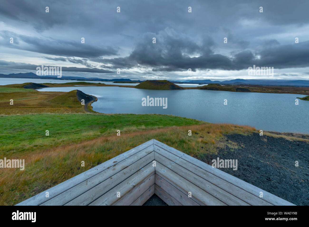 Rootless hi-res stock photography and images - Alamy