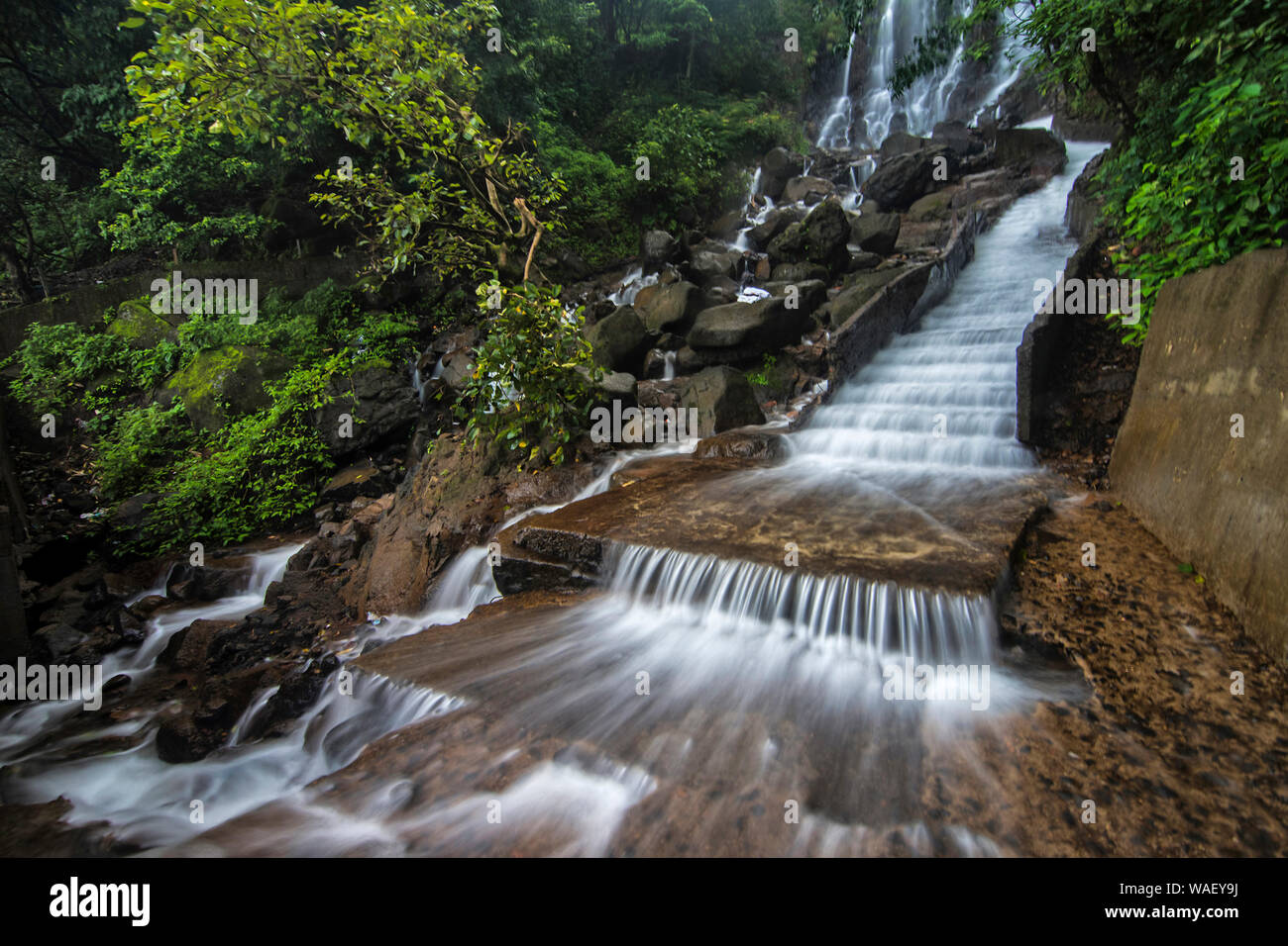 Amboli forest hi-res stock photography and images - Alamy
