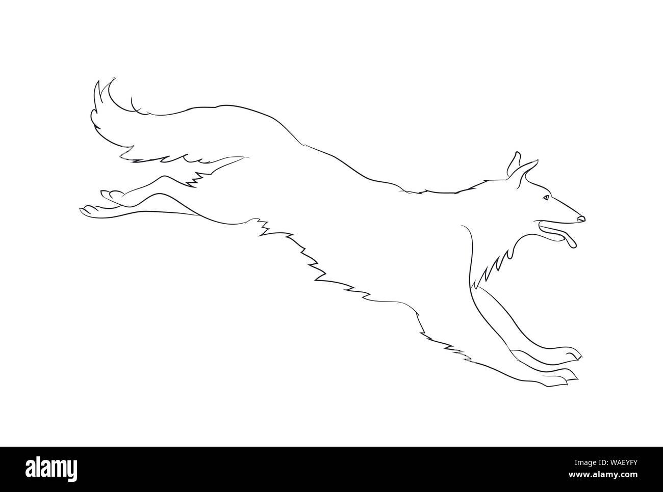 dog running lines, vector, white background, vector Stock Vector Image ...