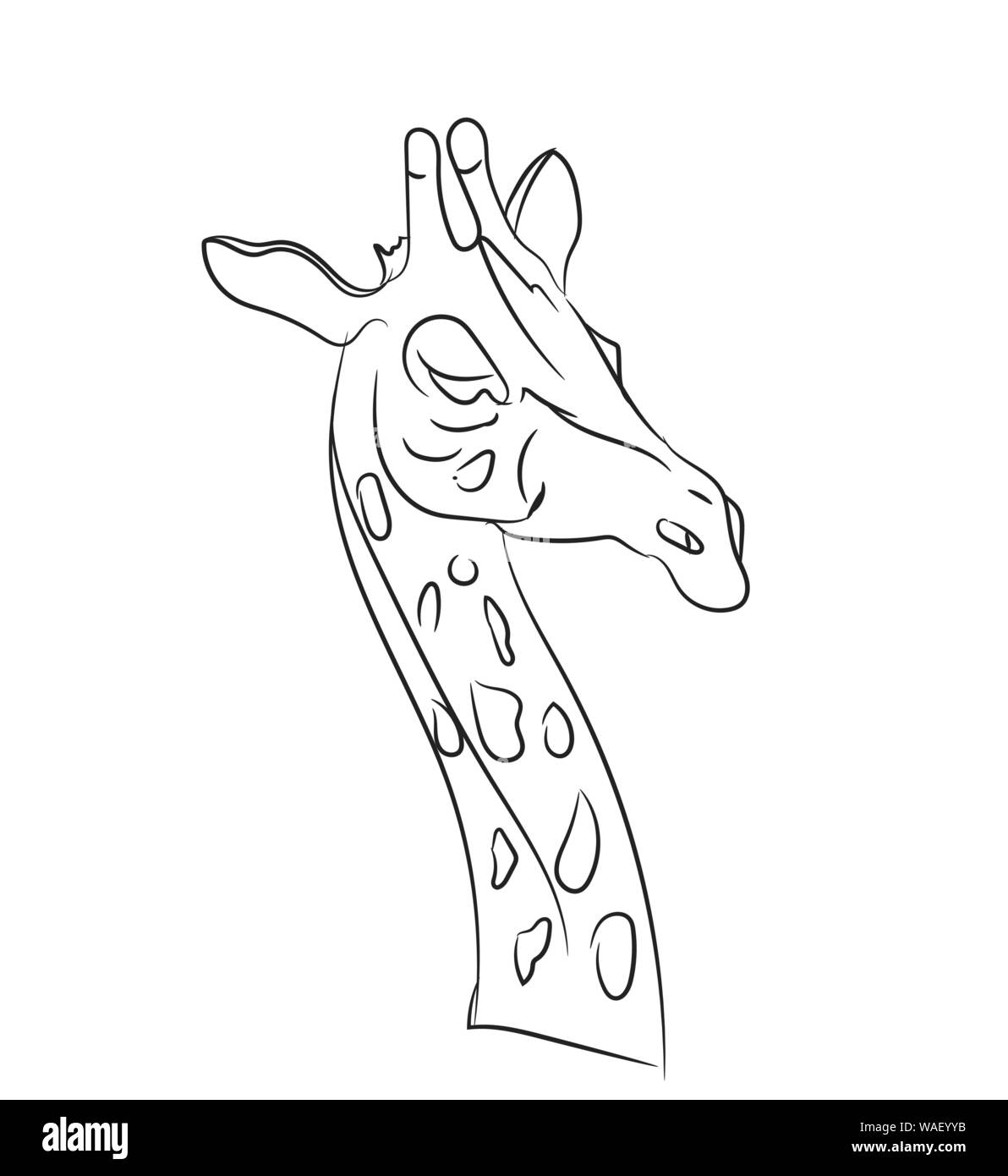 Giraffe one line drawing hi-res stock photography and images - Alamy