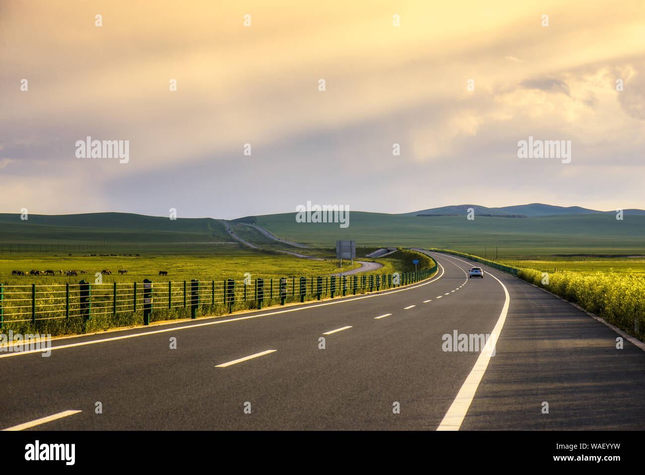 Pretty grasslands hi-res stock photography and images - Alamy