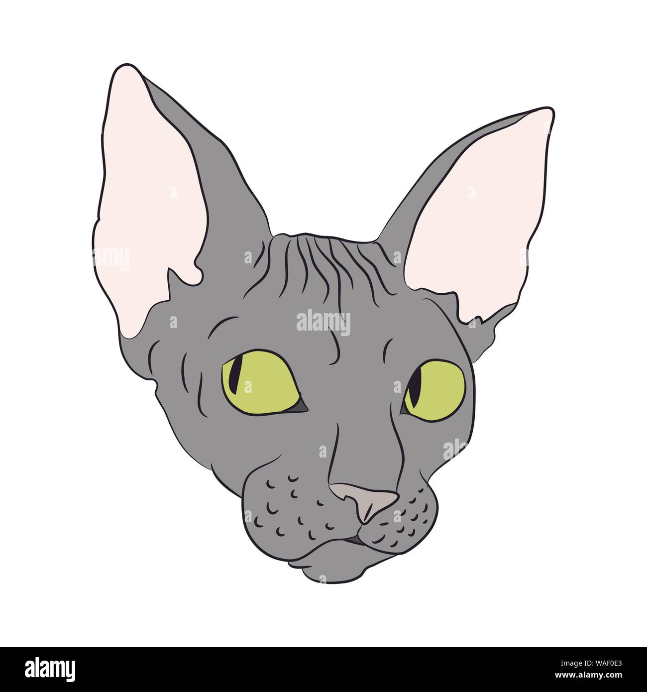 cat portrait, vector, white background, color drawing Stock Vector ...
