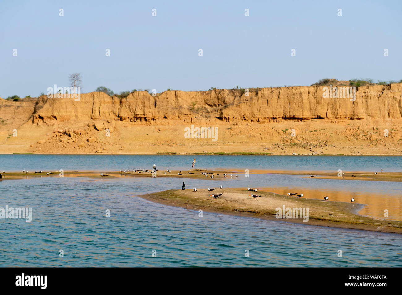 Chambal river kota hi-res stock photography and images - Alamy