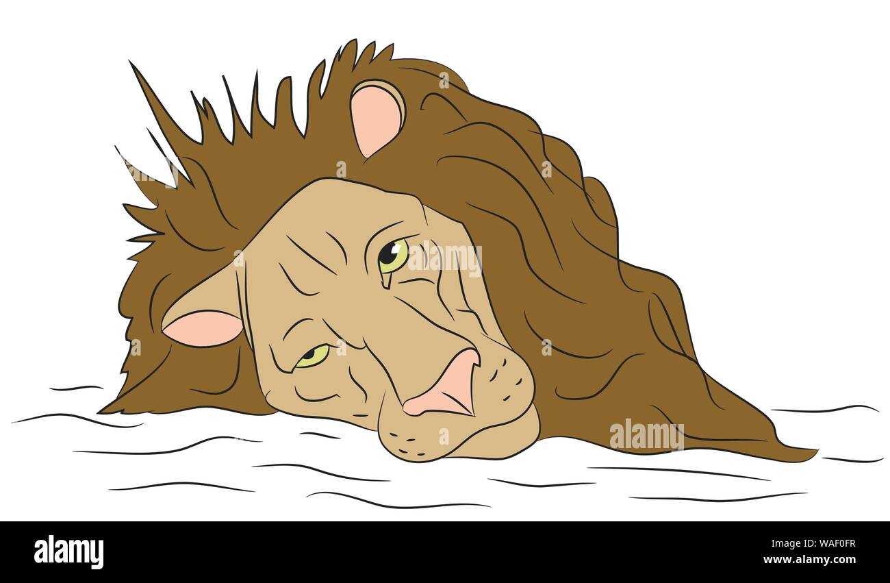 Beautiful male lion portrait Stock Vector Images - Alamy