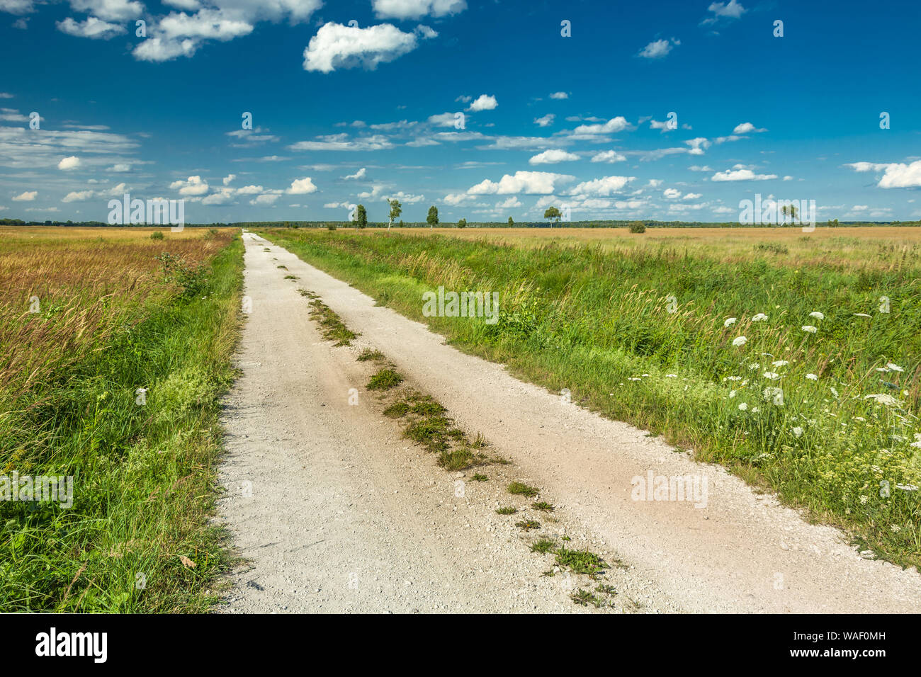 Gravel road through meadows hi-res stock photography and images - Alamy