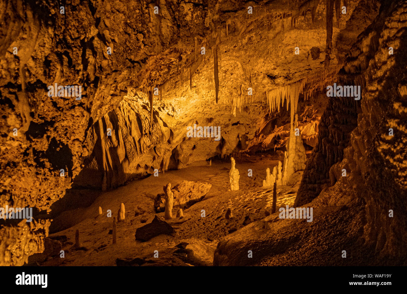 Italy Marche Ancona - Genga - Parco naturale della Gola della Rossa e ...