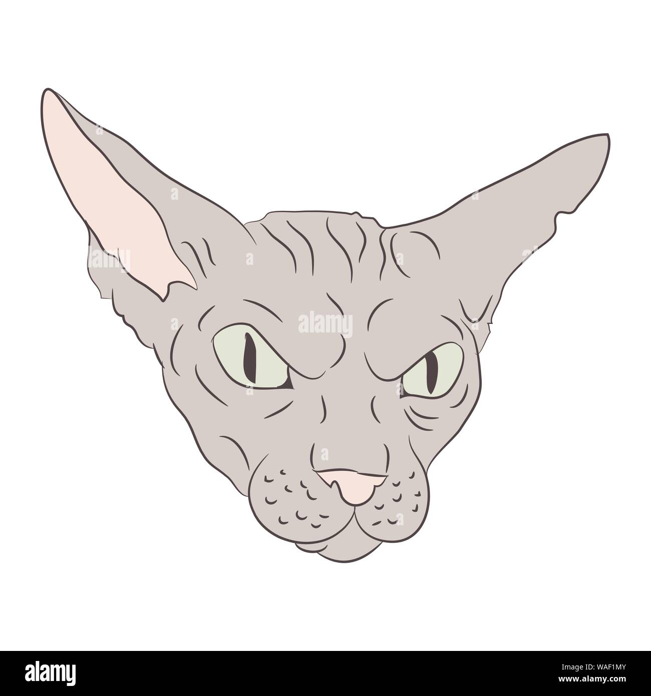 cat portrait, vector, white background, color drawing Stock Vector ...