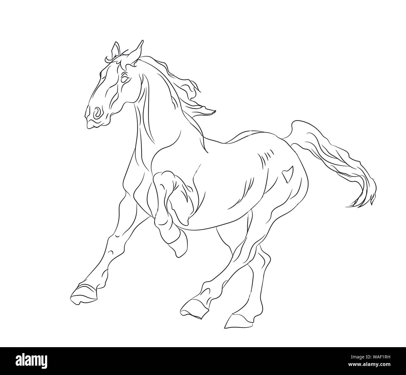 horse running, lines, vector, white background Stock Vector Image & Art ...