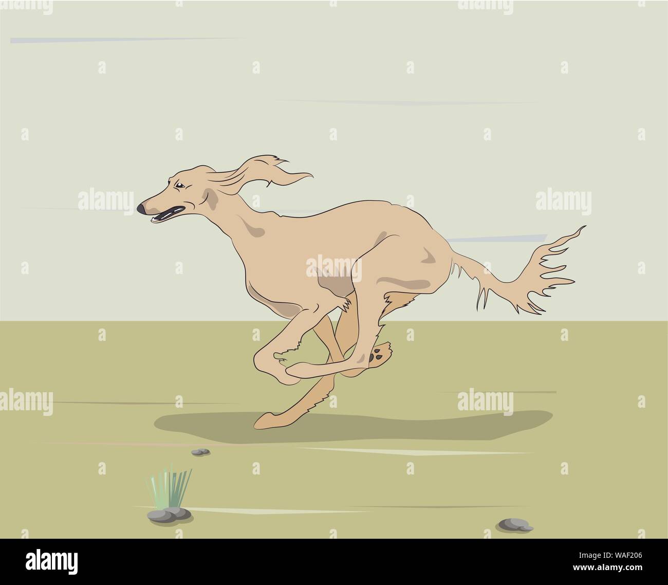 dog running forward, on the ground vector, outdoors Stock Vector Image ...