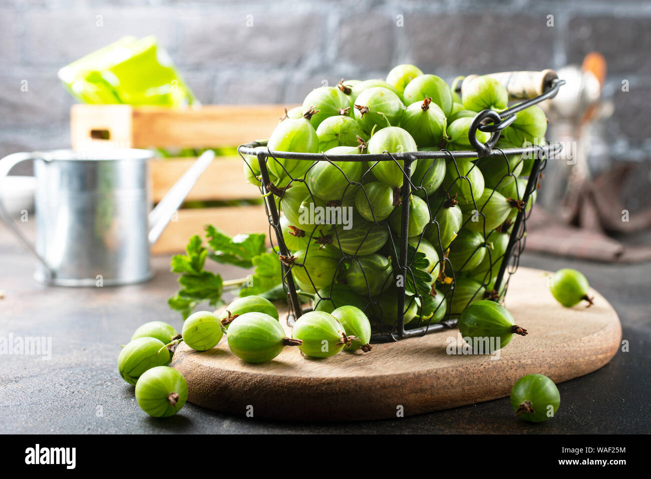 Gooseberry garden container hi-res stock photography and images - Alamy