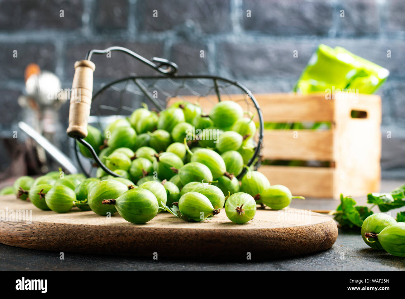 Gooseberry garden container hi-res stock photography and images - Alamy