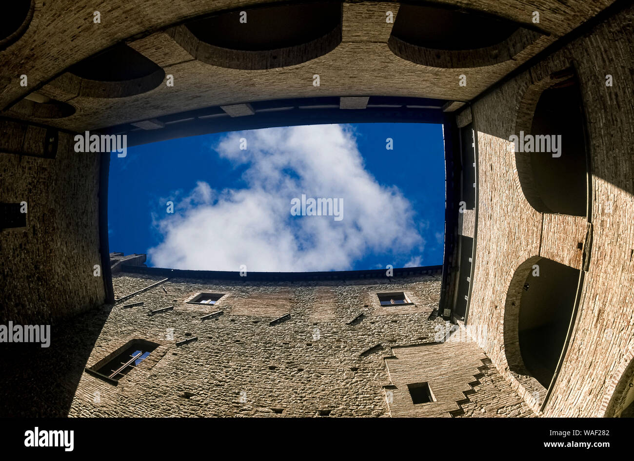 Count oliva hi-res stock photography and images - Alamy