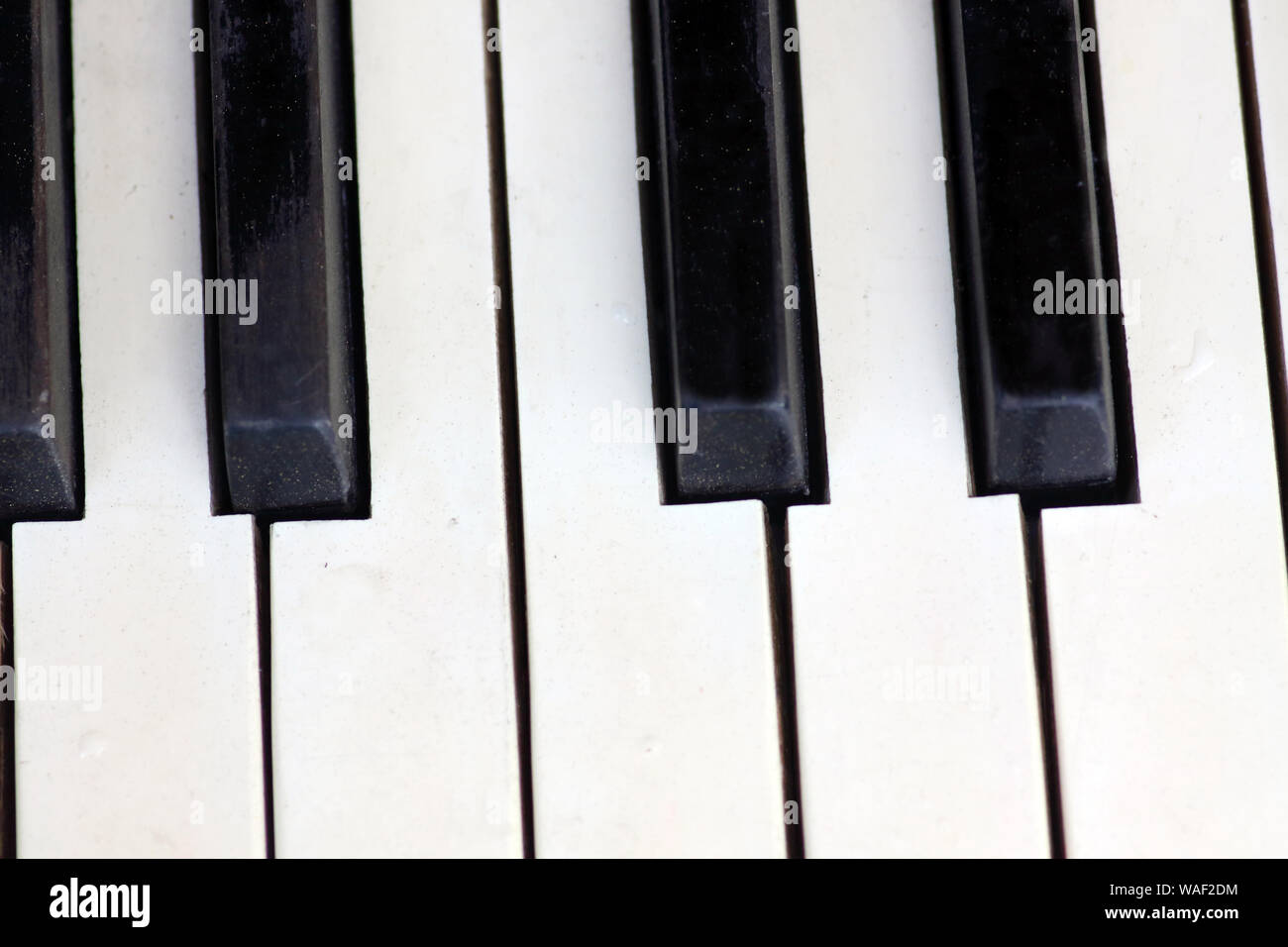 piano keyboard extreme close up Stock Photo - Alamy