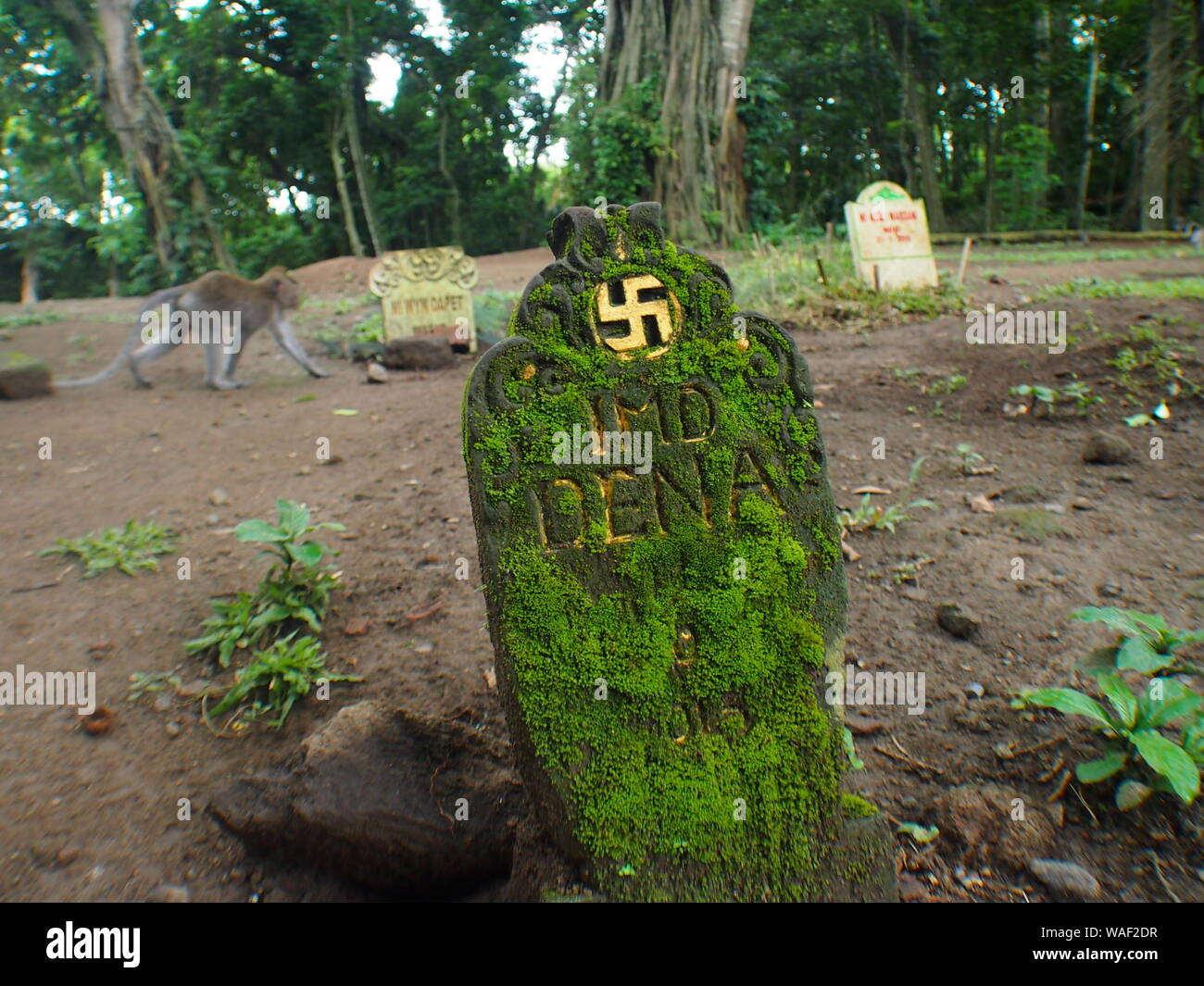 Gravestone with swastika and monkey, Ubud monkey forest, Bali Stock ...