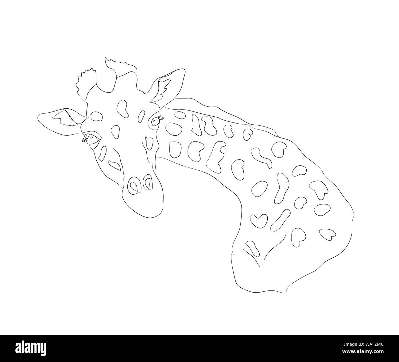 Giraffe one line drawing hi-res stock photography and images - Alamy