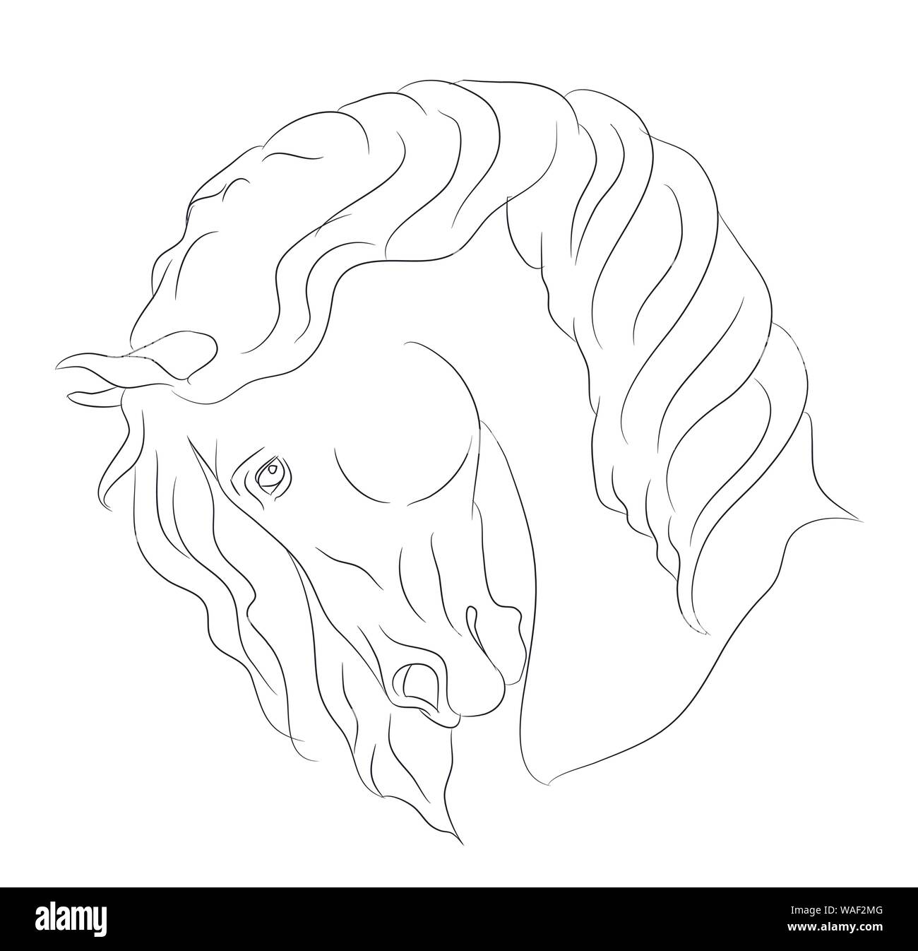 horse portrait lines drawing, vector, white background Stock Vector ...