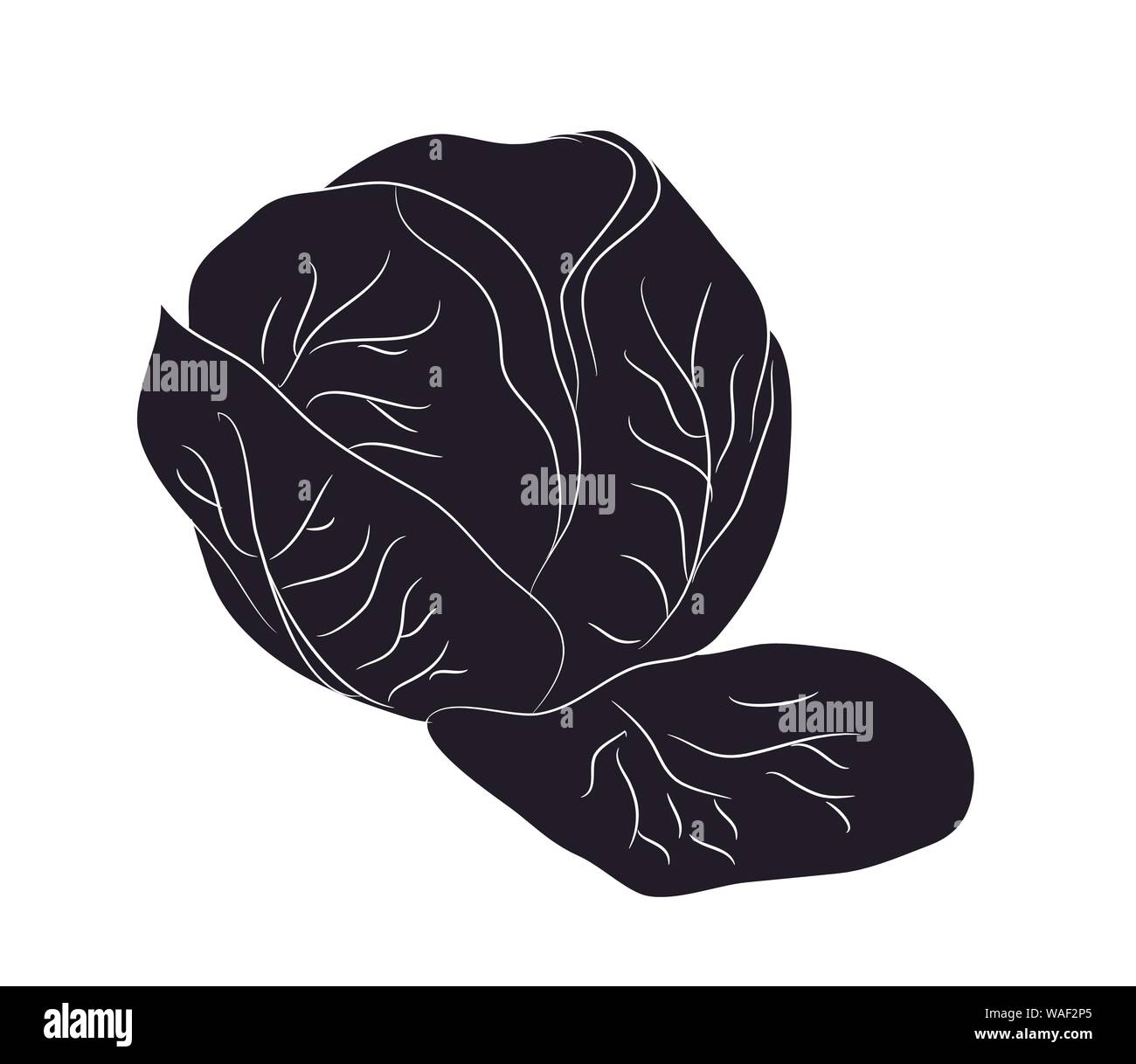 vegetables and fruits drawing silhouette, vector, white background ...