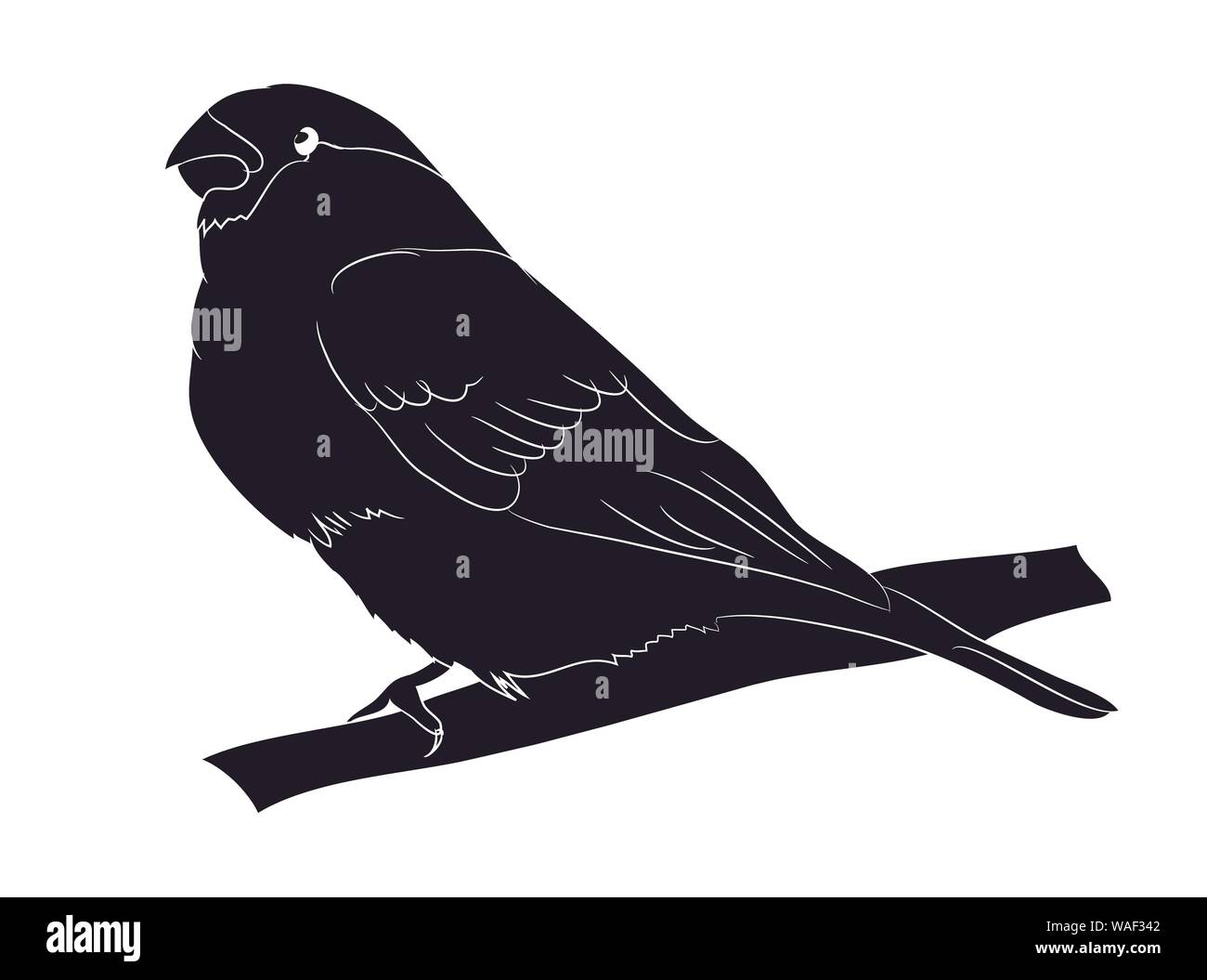bird sitting on a branch, silhouette, vector, white background Stock ...