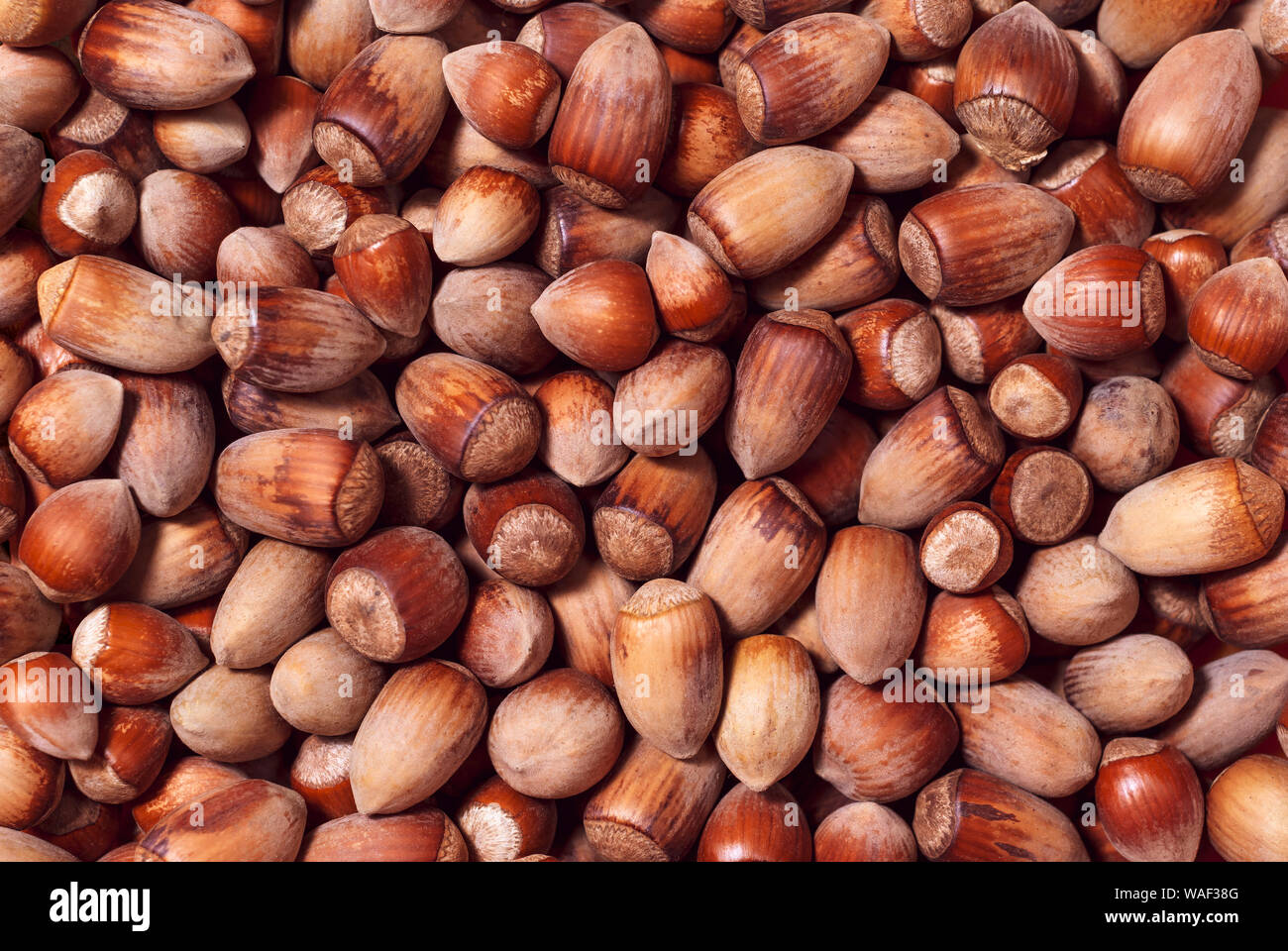 background - natural wild hazelnuts of different sizes Stock Photo - Alamy