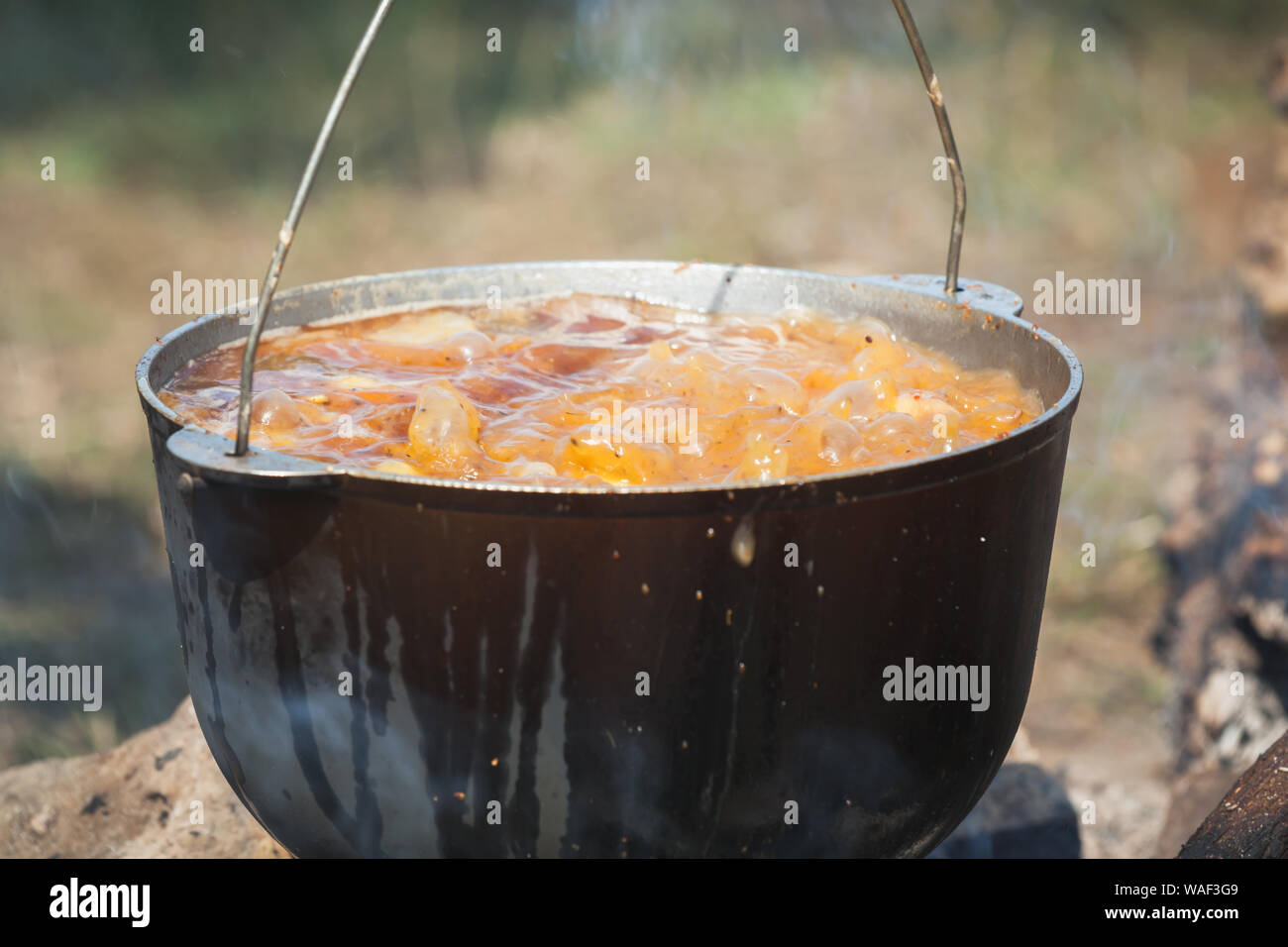 Spicy broth with vegetables boils in a cauldron. Preparing of a soup on ...